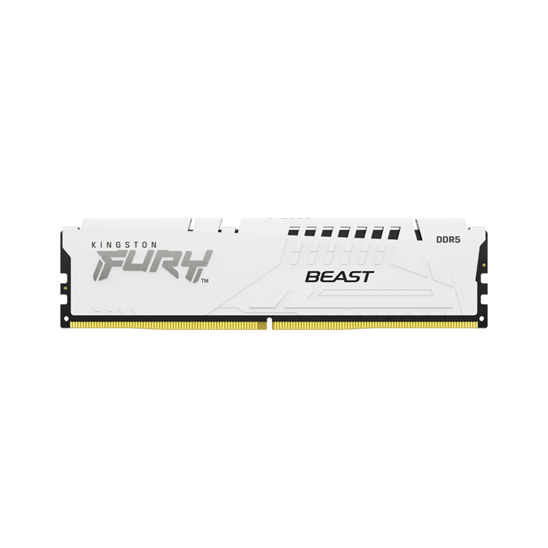 Комплект модулей памяти Kingston FURY Beast KF560C40BWK4-64 DDR5 64GB ...